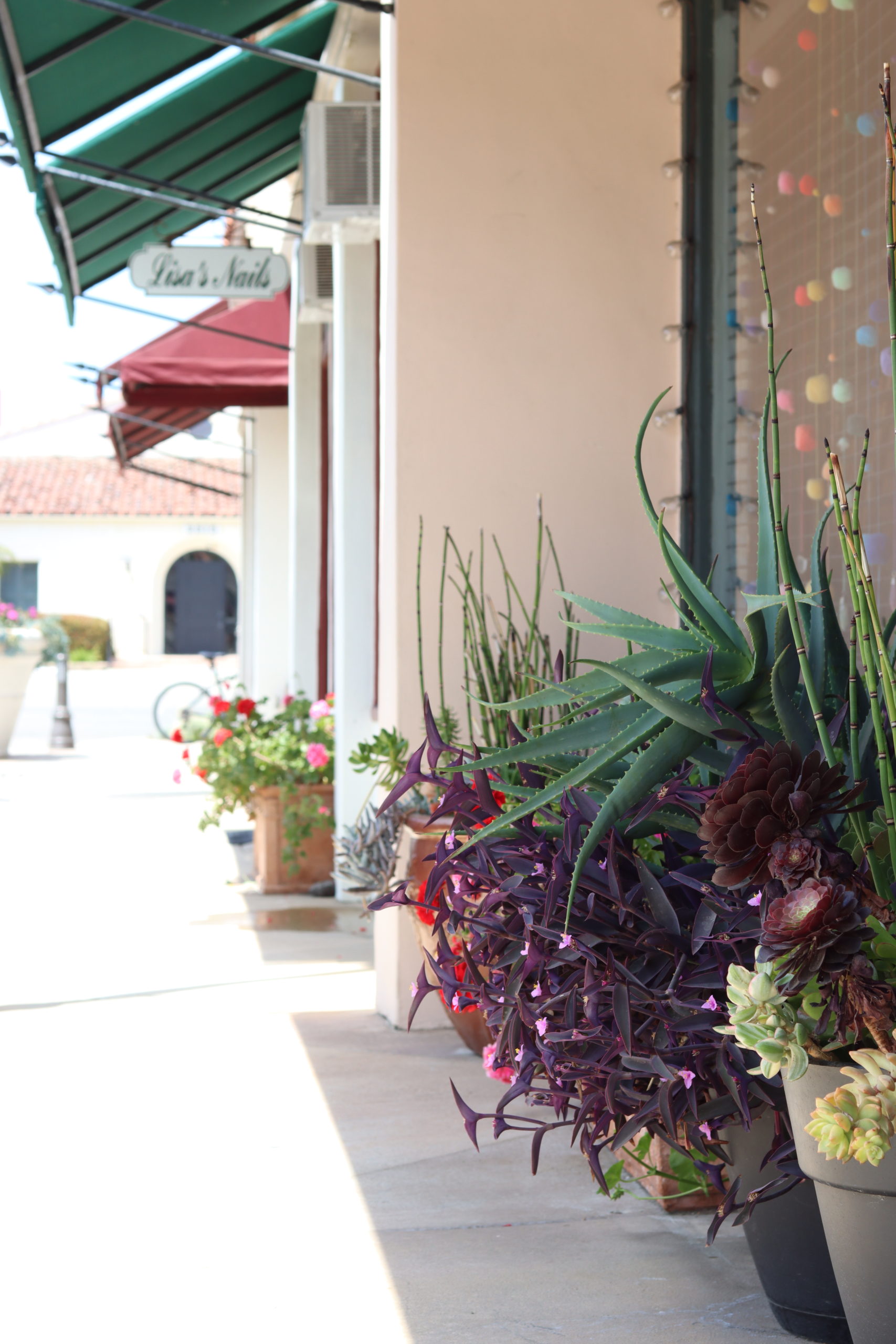 How to plan a fun filled visit to Camarillo, California - Happily Dwell